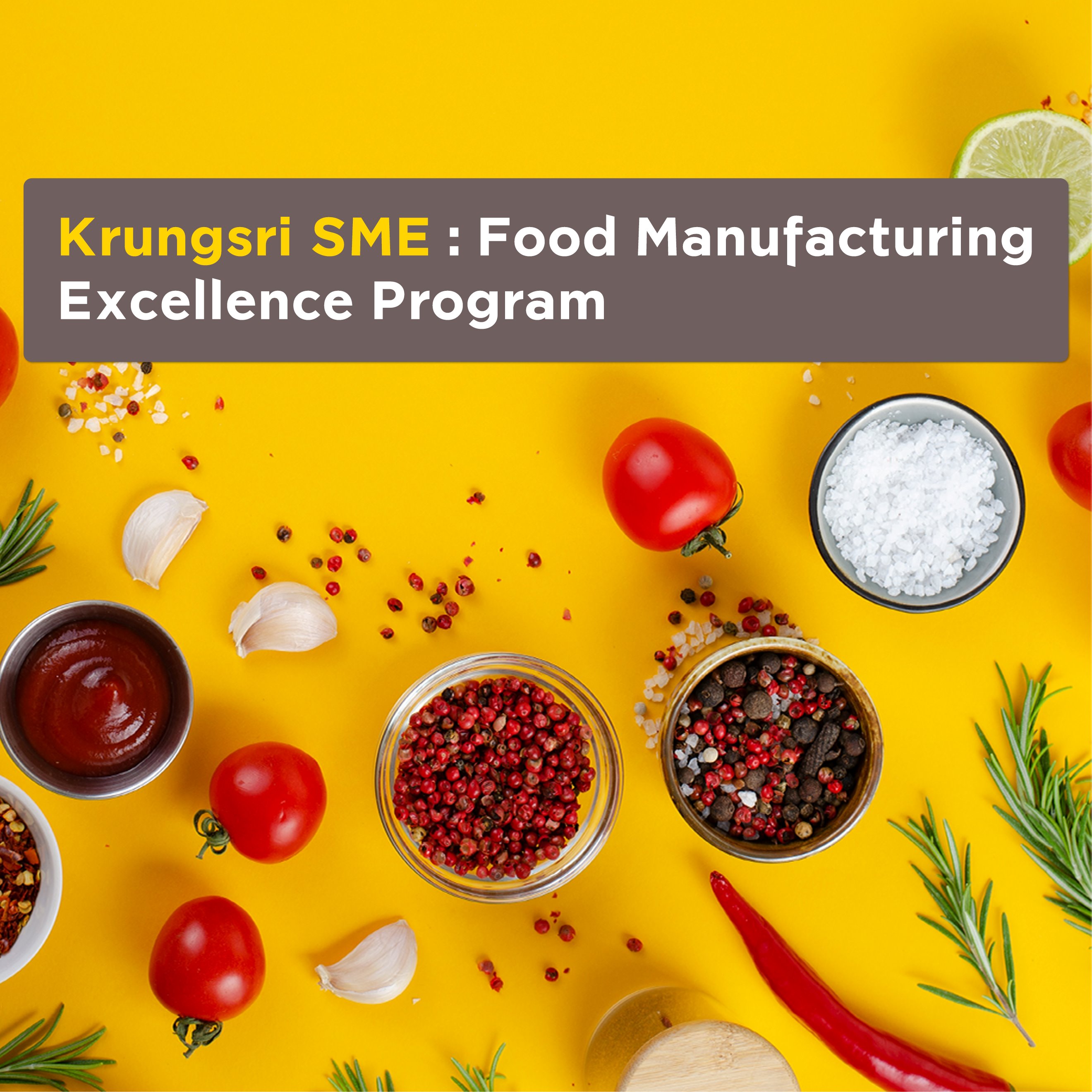 Krungsri SME : Food Manufacturing Excellence Program