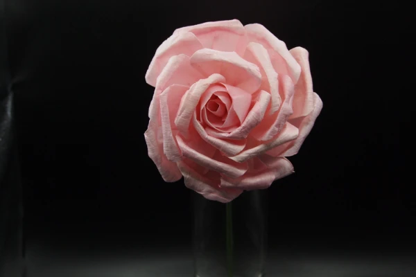 SOLA WOOD FLOWER (GARDEN ROSES / COLOUR) #SF-007/CO