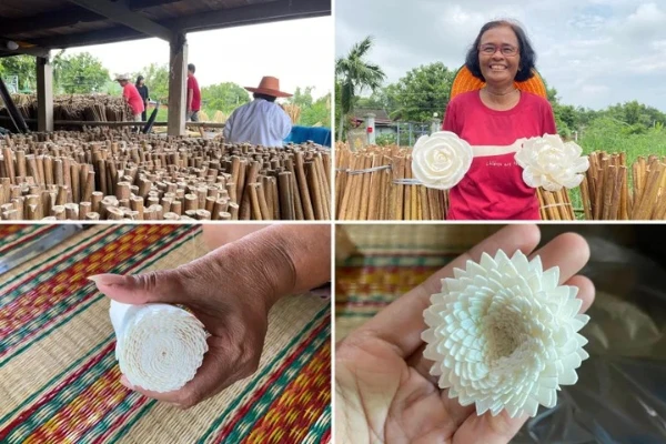 SOLA WOOD FLOWER (GRANDIFLORA ROSES / COLOUR) #SF-006/CO