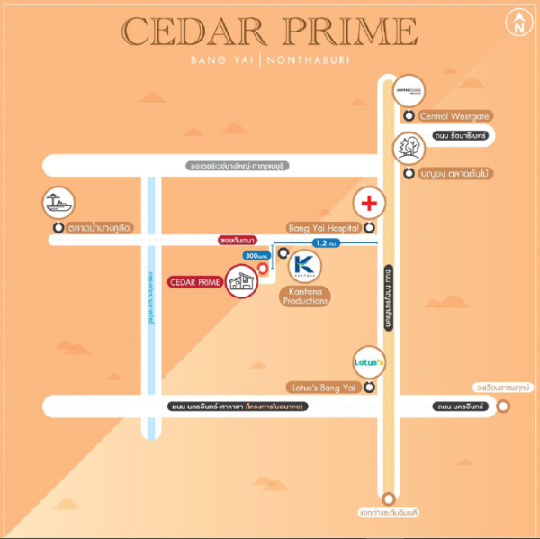 CEDAR PRIME