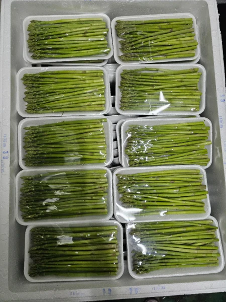 ASPARAGUS BABY