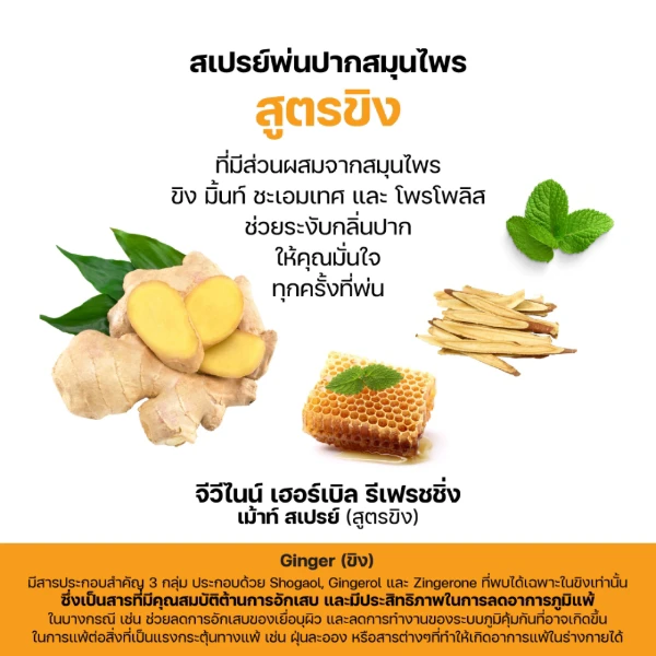 GV9 Ginger Herbal Refreshing Mouth Spray ( สเปรย์พ่นปาก สูตรขิง )