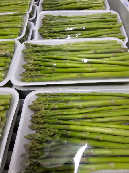 ASPARAGUS BABY