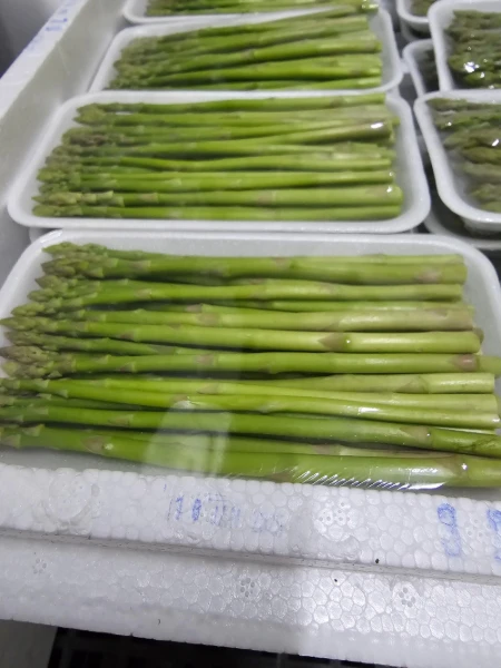 ASPARAGUS BABY